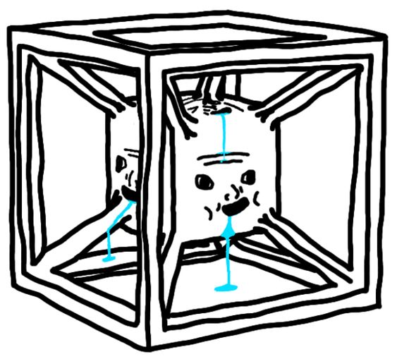 Meme Templates : la banque de tous les memes humoristiques (2021)